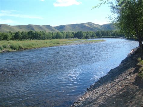 Гол усны ослоос урьдчилан сэргийлье Өглөө мн