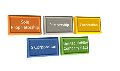 Accounting For Your Business Understanding Entity Types