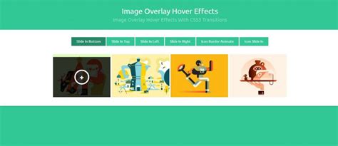 CSS Cool Image Hover Effect Design OnAirCode