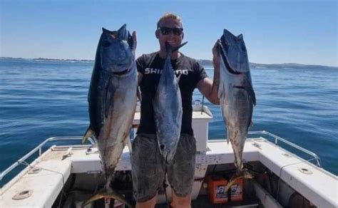 Another Week Of Quality Tuna Fishing Fishing Reports Awesome Amounts Of Tuna Action On
