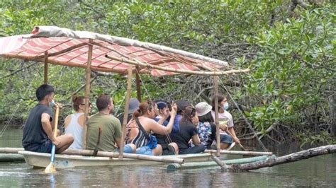 Mangrove Paddle Boat Tour A Community Based Sustainable Tourism Site