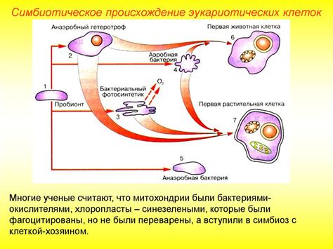 Гипотезы абиогенеза гипотеза биохимической эволюции презентация онлайн