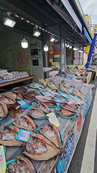 생선 파리끈풍기이거 어디서 사요대천건어물시장 쇼츠 파리끈풍기 Youtube