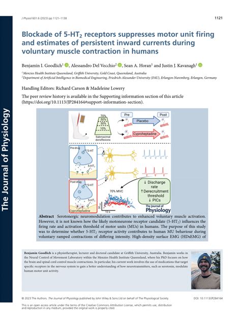 Pdf Blockade Of 5‐ht2 Receptors Suppresses Motor Unit Firing And Estimates Of Persistent