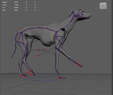 Pls Help Me With My Rig Rmaya