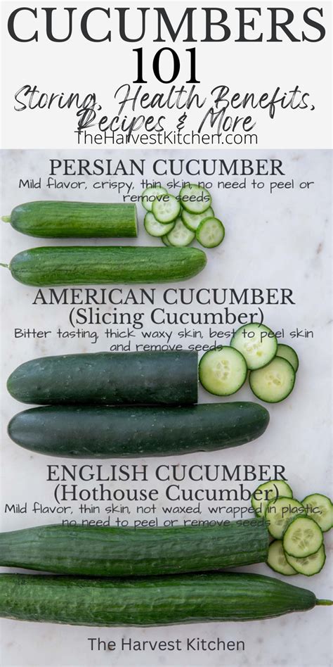 English Cucumber Varieties Differences And 15 Delicious Recipes