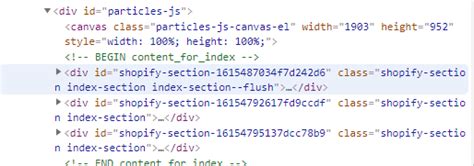 Javascript Particlejs With Liquid Stack Overflow
