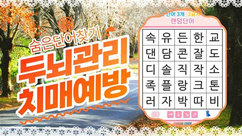 굳어버린 두뇌를 풀어주는 퀴즈 숨은단어찾기 치매예방 퀴즈 초성퀴즈 단어퀴즈 두뇌운동 뇌건강 치매테스트 기억력 집중력 강화 재밌는 퀴즈 Youtube