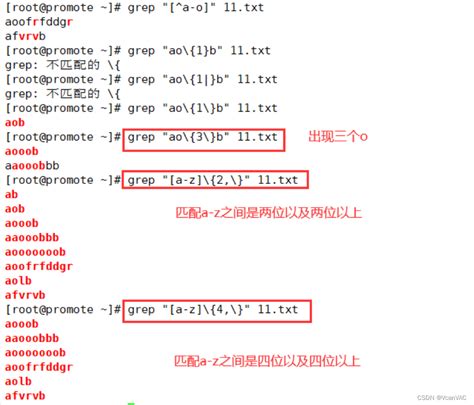 Shell 正向表达式 Csdn博客