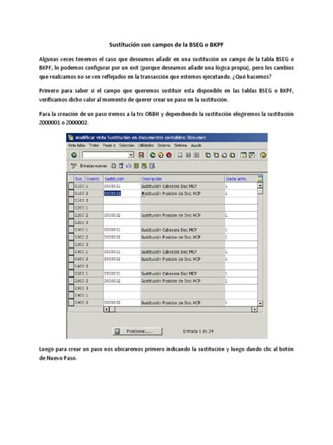 Sustitución Con Campos De La Bseg O Bkpf Pdf Exclusión Social Informática