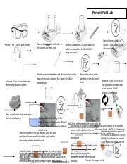 Percent Yield Lab Docx Percent Yield Lab Place A Clean Dry 150 ML Beaker On The Balance And