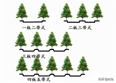 道路绿化的布置形式有哪些？ 行道树 种植 分车