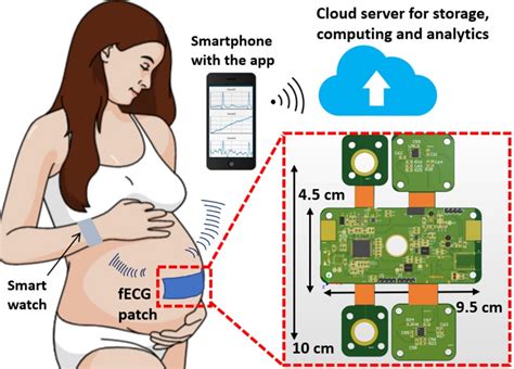 Monitoring A Pregnancy At Home With A Smartphone Ieee Spectrum