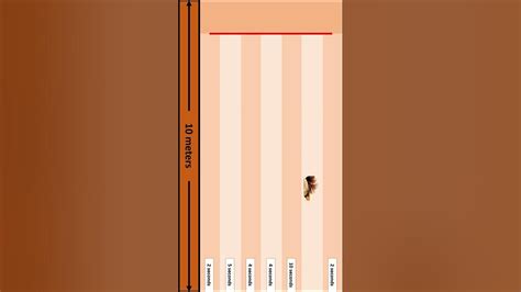 Speed Comparison Youtube