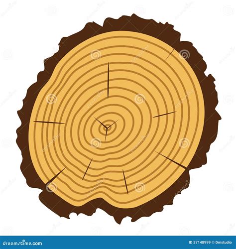 Vector Wooden Texture CartoonDealer Com
