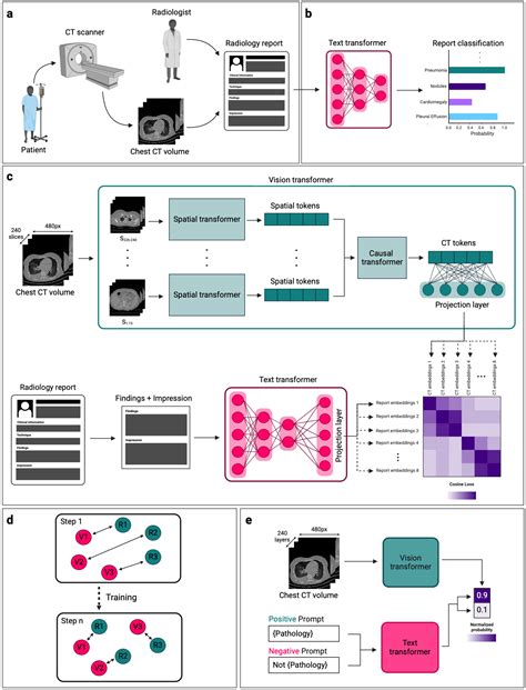 Overview Of Training And Zero Shot Classification Of A Foundation Model