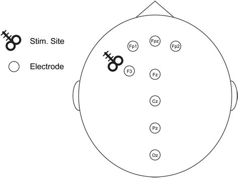 Eeg Electrode Placement And Tms Stimulation Site Locations Of 8 Download Scientific Diagram