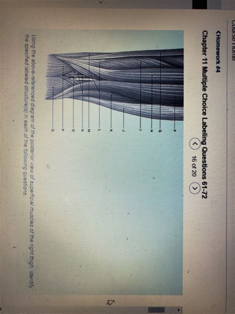 solved ourse home homework 4 chapter 11 multiple choice