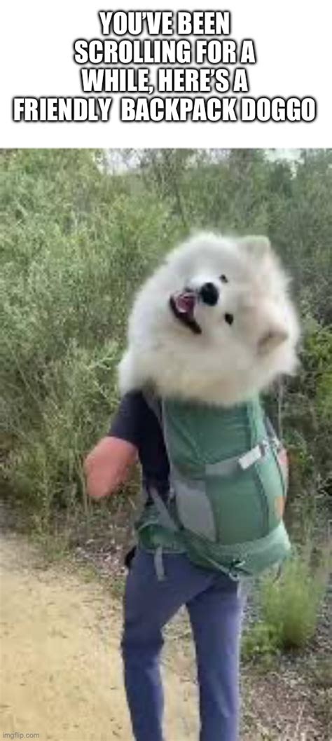 Backpack Boomer Imgflip
