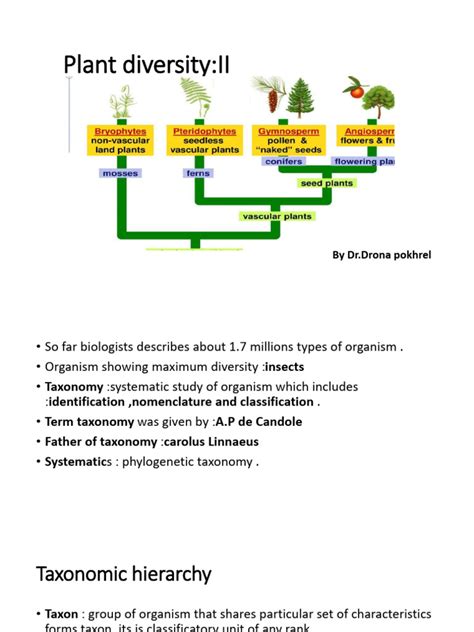 Algae Note Pdf Algae Taxonomy Biology