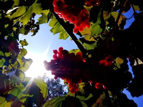 Гороскоп кохання з 4 по 10 жовтня цей тиждень таїть в собі як щасливі і важливі зміни так і