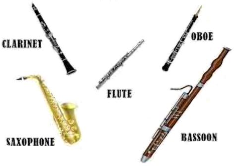 Winds And Percussion Palms Middle School