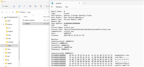 fs forensic yara · ufrisk memprocfs wiki · github