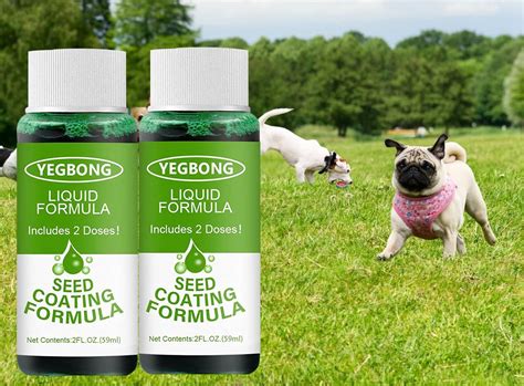 How To Use Yegbong Seed Coating Formula Storables