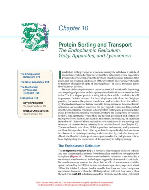 Protein Sorting And Transport Pdf