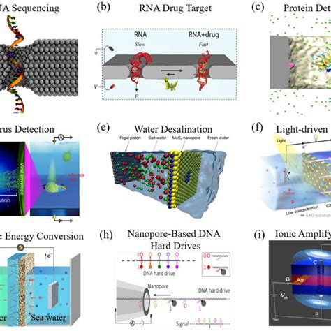 Various Applications Of Solid State Nanopores A Dna Sequencing Download Scientific Diagram