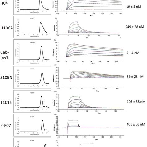 Chromatograms From A Superdex 75™ Gel Filtration Column Following G