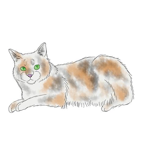 Cute Calico By Fizz Buzz On Deviantart