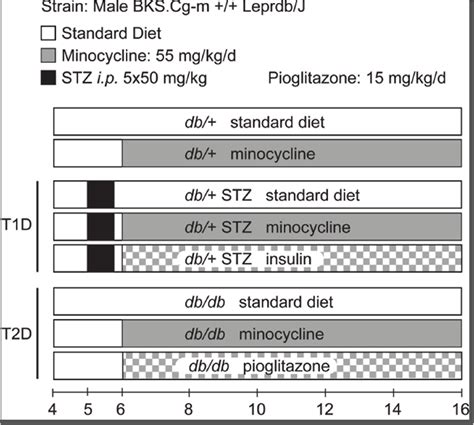Differential Effects Of Minocycline On Microvascular Complications In
