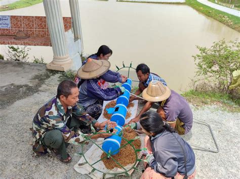 ပေါင်မြို့နယ်၌ မိုးစပါးမျိုးစေ့ချကိရိယာဖြင့် စိုက်ပျိုးပြသခြင်းဆောင်ရွက် Information And