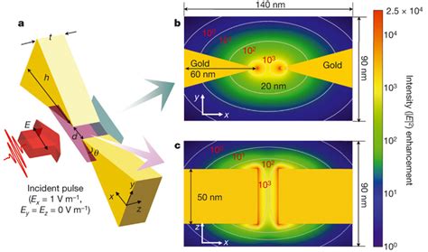 Finite Difference Time Domain Simulation Of Local Field Enhancementa