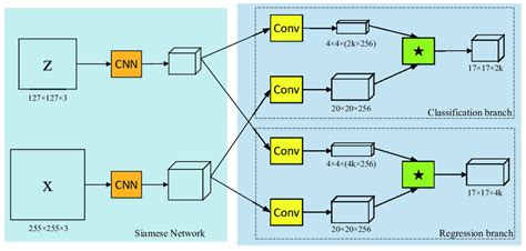 The Framework Of The Siamrpn Algorithm Download Scientific Diagram