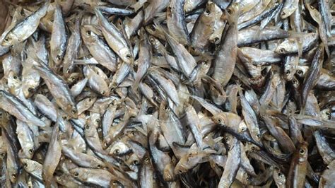 Тюлька вяленая