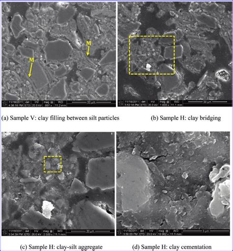 Sem Micrographs Showing Microstructure Of Loess A Sample V B D
