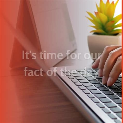 Gadget Access Information Security On Linkedin Cybersecuritypioneers Gadgetaccess