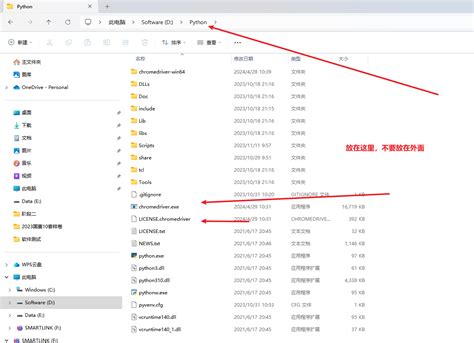 自动化测试谷歌浏览器和其驱动版本差不多却还是报错the Chromedriver Version 12106167184 Detected In Path At