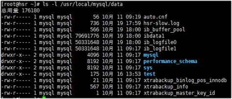 Mysql 开发进阶篇系列 55 权限与安全安全事项 Csdn博客