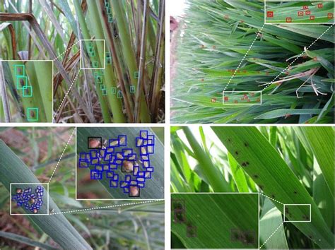 Typical Samples In Our Dataset Download Scientific Diagram