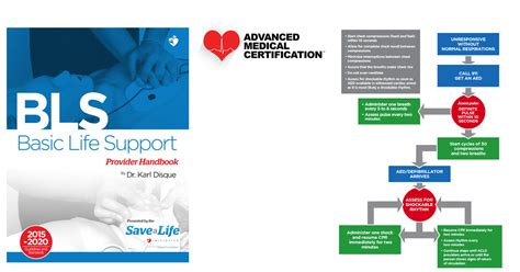 Adult Basic Life Support Algorithm Bls Online Handbook