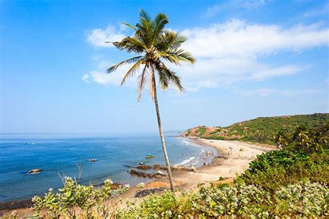 Vagator Images Beautiful Photos Of Vagator Beach In Goa Thatll Tempt