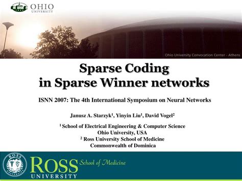 Ppt Sparse Coding In Sparse Winner Networks Powerpoint Presentation Free Download Id3349700