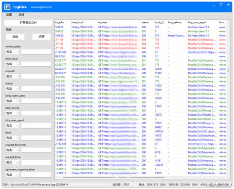 Nginx日志分析软件，终于找到了lognice Csdn博客