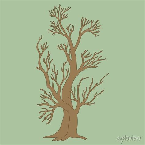 Stylized Bare Tree With Naked Branches Isolated Vector Illustration Wall Stickers Decoration