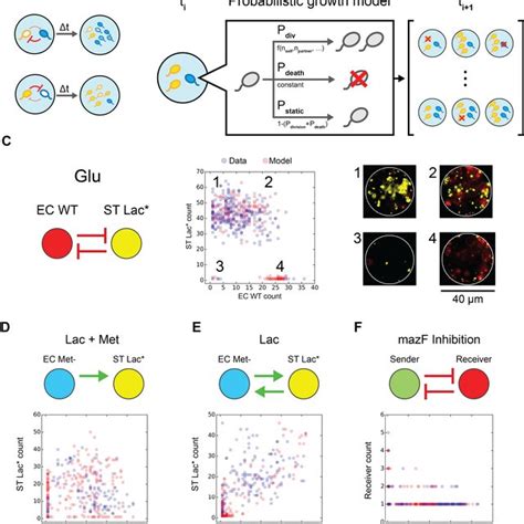 Overview And Characterization Of Microbial Interaction Network Download Scientific Diagram