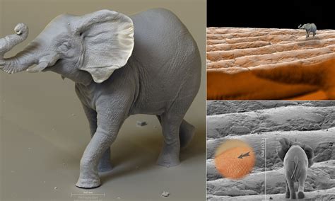 ≡ 8 Astoundingly Tiny Art Pieces Brain Berries