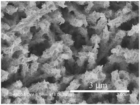 A Kind Of Znopt Heterogeneous Nano Array Structure Material